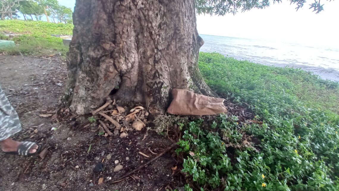 Nasib Warga Desa Haya Pulau Seram Kala Tambang Garnet Datang (Bagian 1 ...